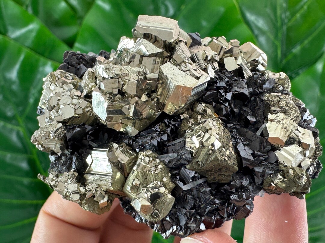 Amazing Pyrite With Sphalerite,chalcopyrite From Borieva Mine Madan ...