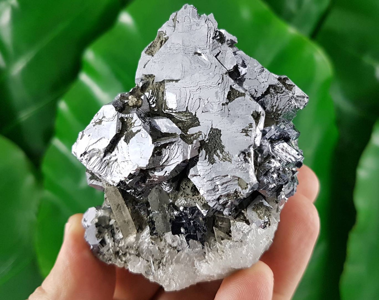 INCREDIBLE Luster Galena With Quartz and Chlorite From - Etsy