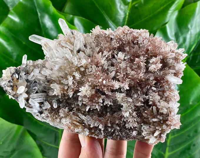 Very Rare Quartz With Inclusions Hematite From 9th September Mine,madan ...