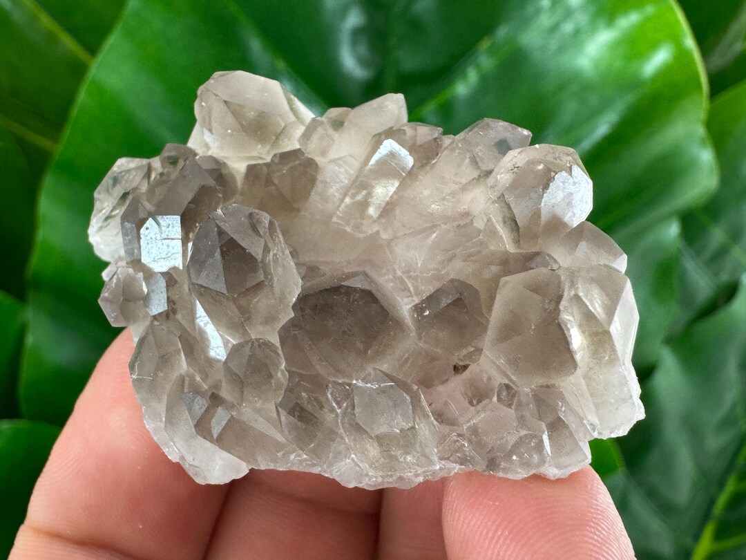 Amazing Black Smoky Quartz Cluster From Brazil,mineral,specimen ...