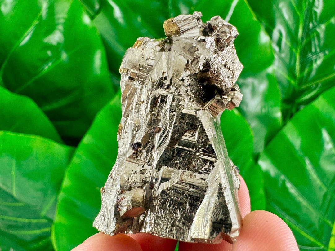 Rare Pyrite From Krushev Dol Mine,madan,bulgaria, Minerals,specimens ...