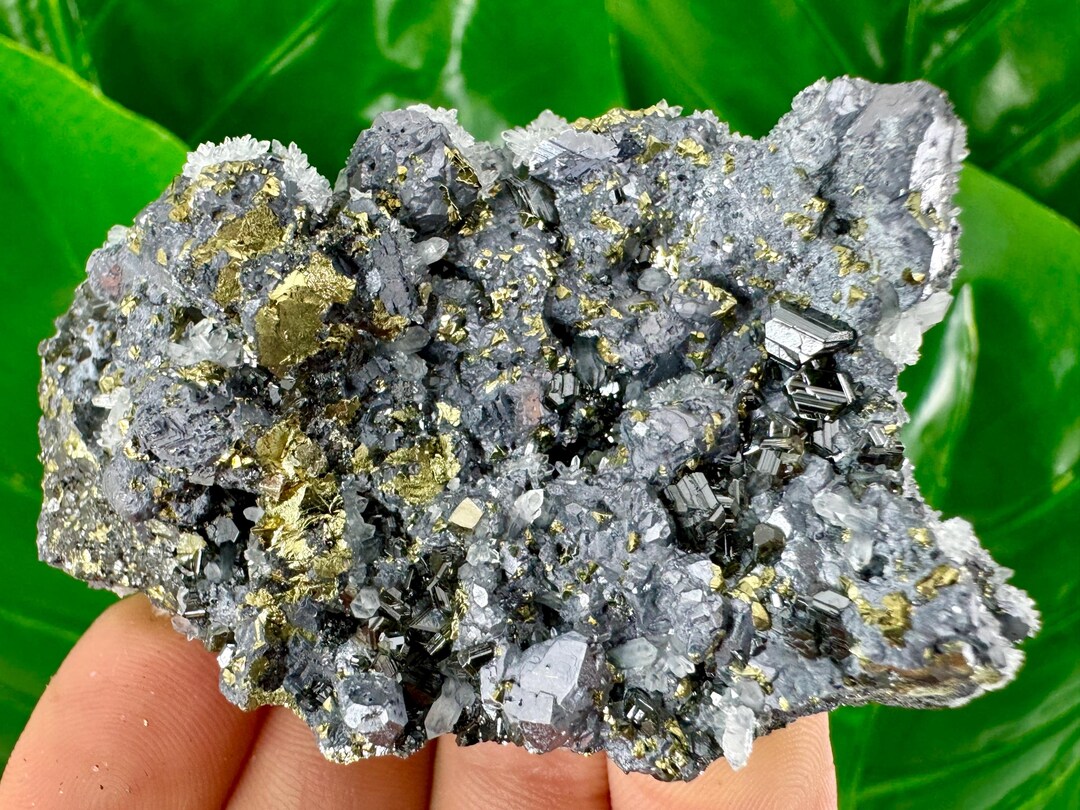 Sphalerite With Chalcopyrite,galena and Quartz From Krushev Dol Mine ...