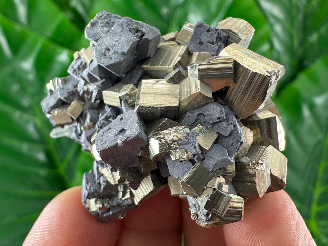 Amazing Pyrite With Galena From Borieva Mine Madan,bulgaria,mineral ...