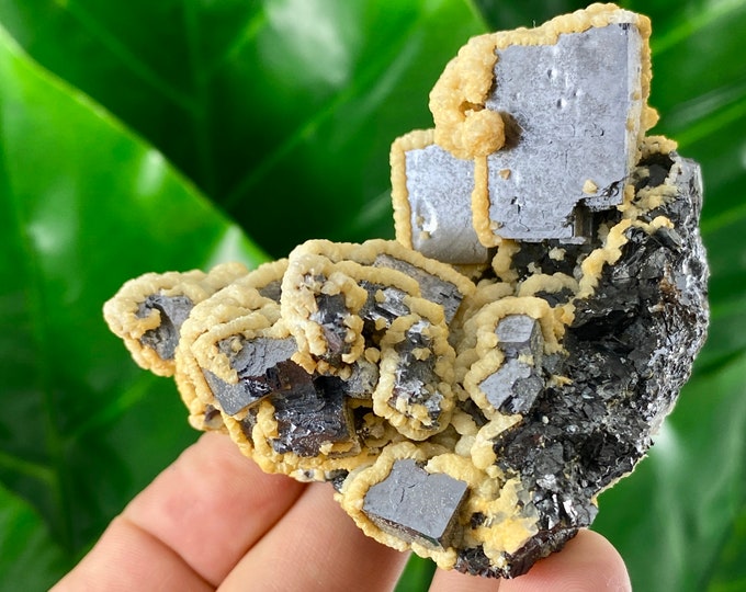 Skeletal Galena With Dolomite From Krushev Dol Mine,madan,bulgaria ...