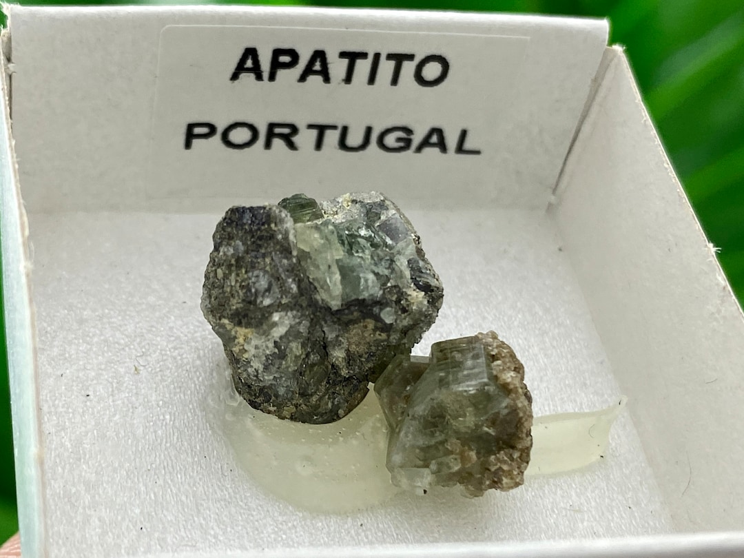 Rare Green Apatite From Portugal,mineral,specimen,collectible ...