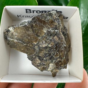 Very Nice Golden Bronzite From Austria,kraubath,styria,mineral,specimen ...