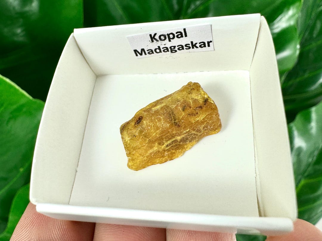 Amazing Copal From Madagascar ,madagascar Minerals,amber Copal Amber ...