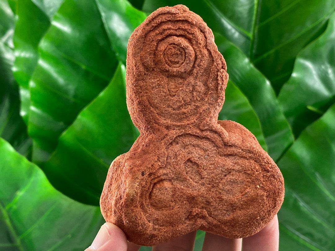 Large Stromatolite From Morocco,fossil Specimen,raw Stromatolite Fossil ...
