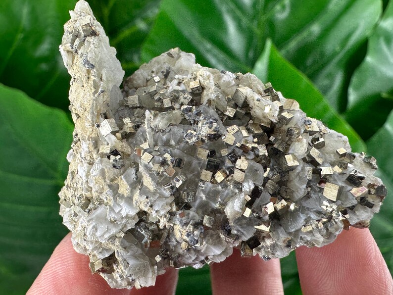 Amazing Calcite With Pyrite From Djurkovo Mine,laki,bulgaria,mineral ...