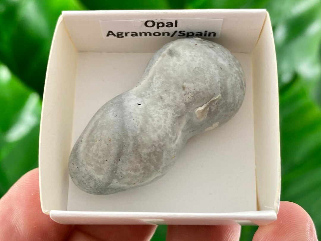 Menilite Opal Specimen: Agramon, Spain Mineral Collection - Etsy UK