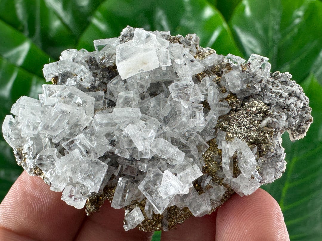 Beautiful Baryte From Androvo Mine,zlatograd,bulgaria,natural Mineral ...