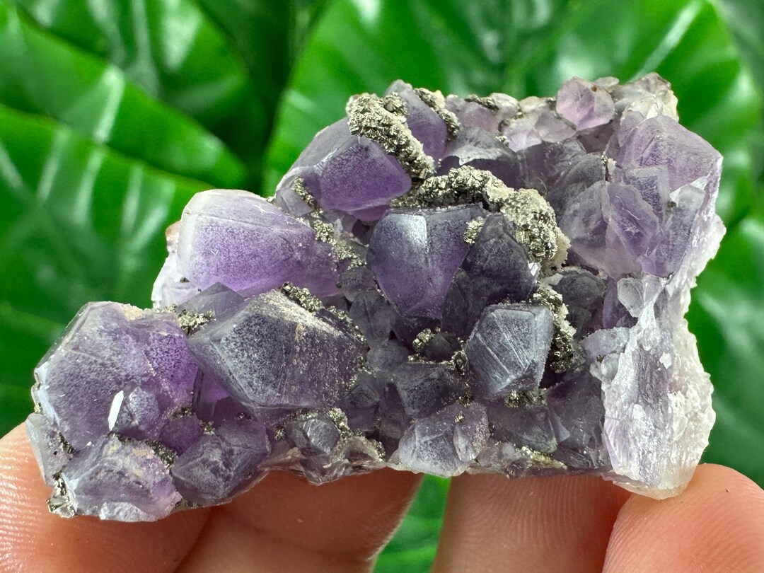 Amethyst With Pyrite From Chala Mine Bulgaria,bulgarian Amethyst,purple ...