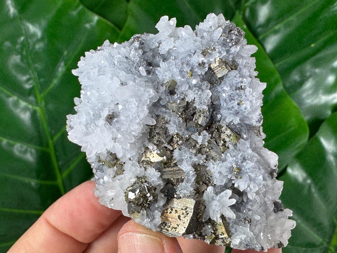 Quartz With Pyrite,gem Sphalerite From Krushev Dol Mine,madan,bulgaria ...