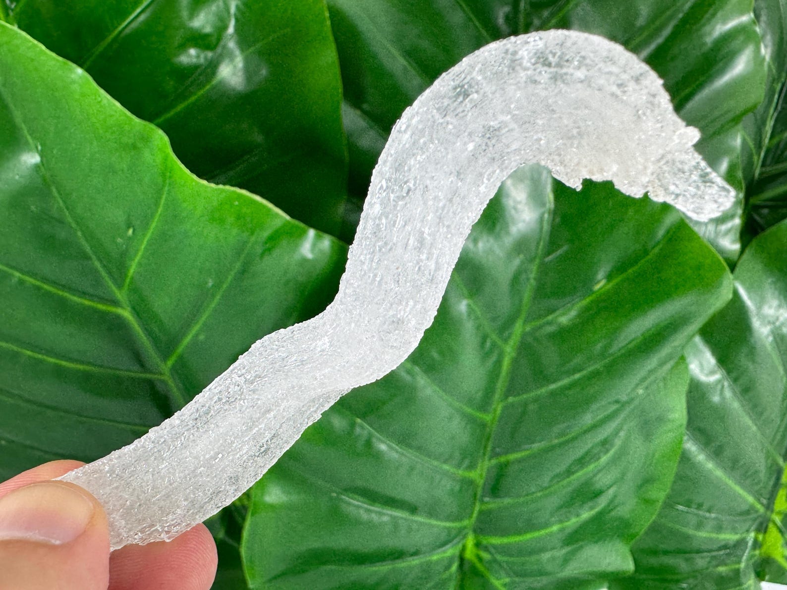 Incredible 'ram's Horn' Selenite- Gypsum From Guizhou,china,rare Gypsum ...