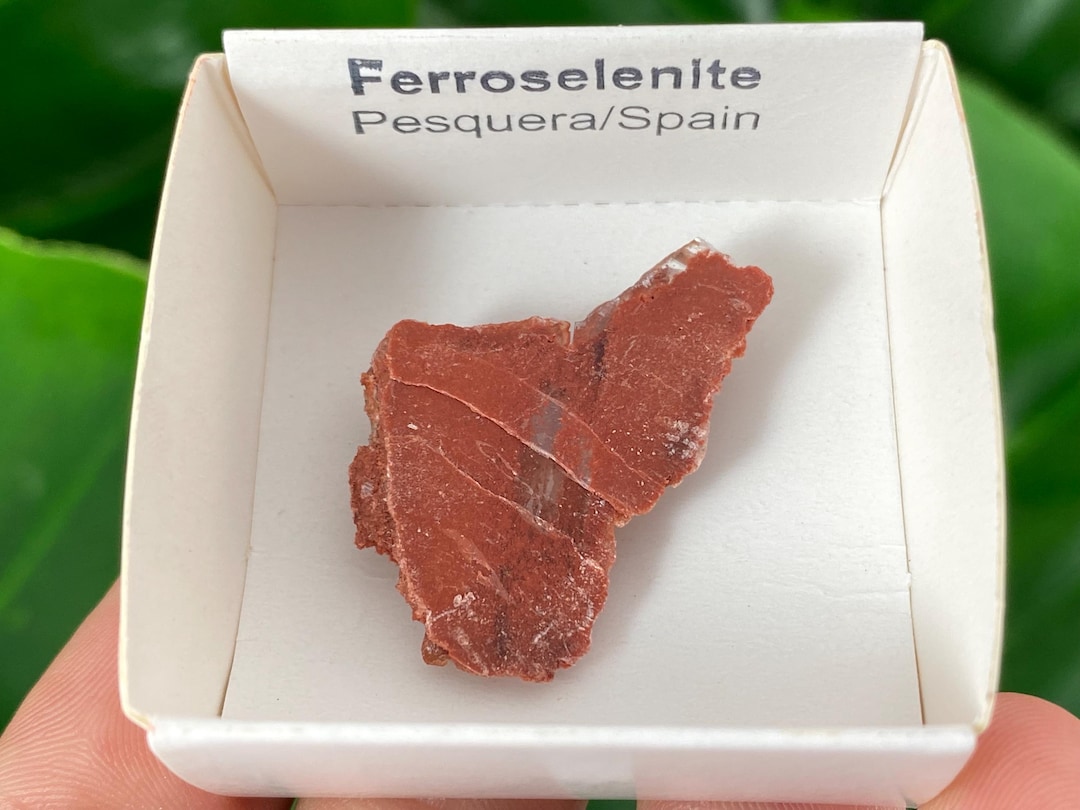 Very Rare Ferro Selenite From La Pesquera, Cuenca,castile-la Mancha ...