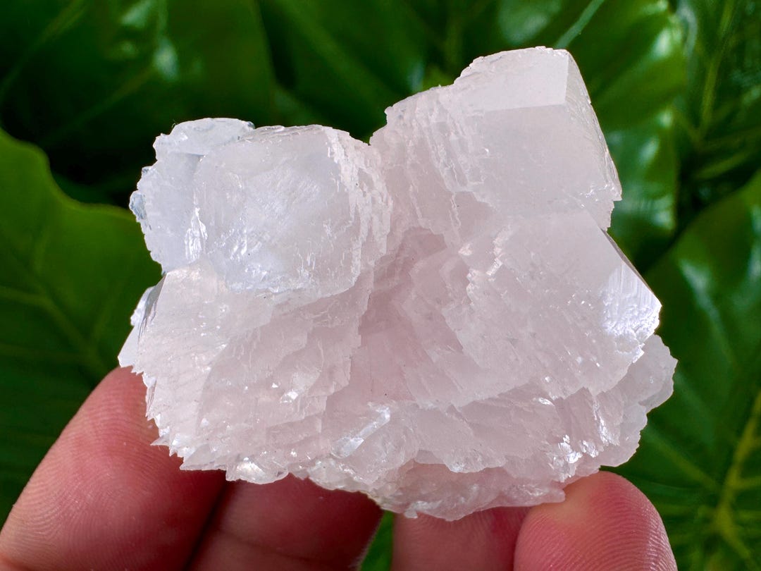Strong Fluorescent Pink Mangano Calcite From Krushev Dol Mine,madan ...