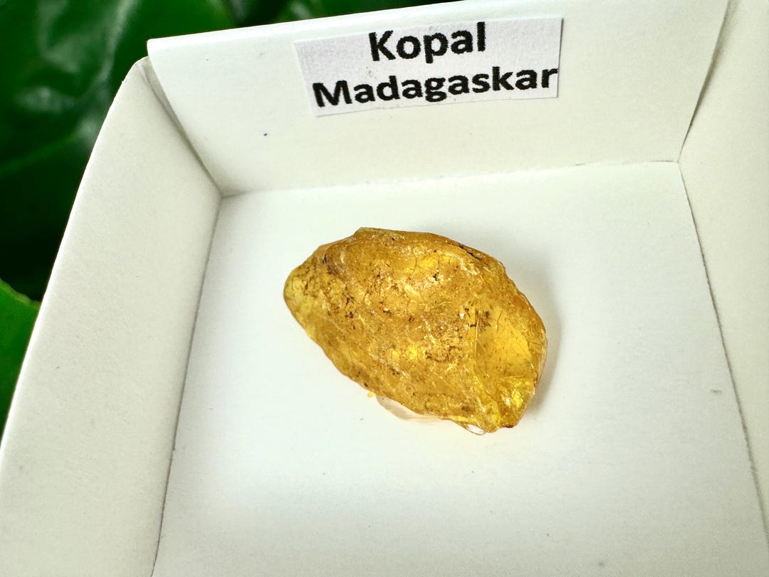 Amazing Copal From Madagascar ,madagascar Minerals,amber Copal Amber ...