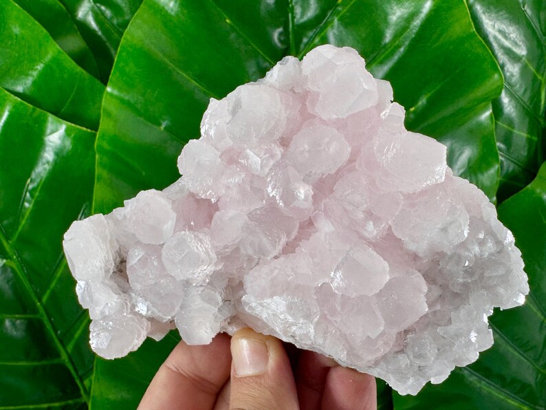 Strong Fluorescent Pink Mangano Calcite From Krushev Dol Mine,madan,bulgaria,pink Crystal,pink ...