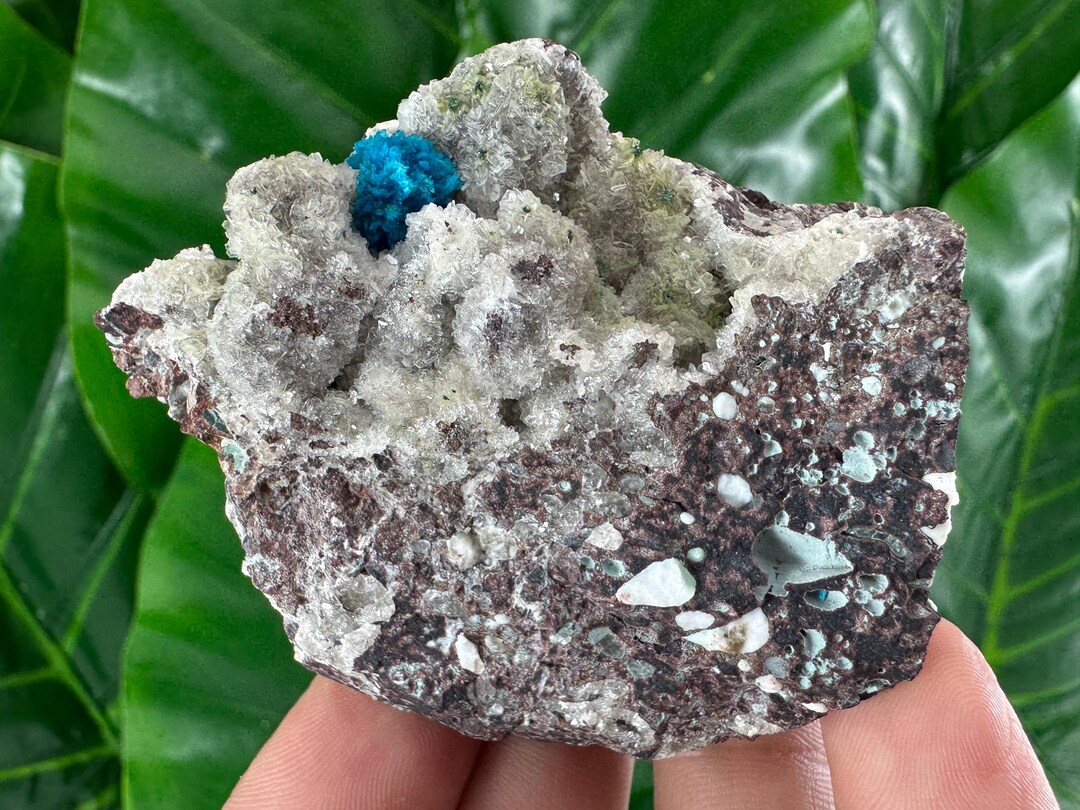 Blue Cavansite on Matrix: Pune,maharashtra,india,cavansite Crystal ...