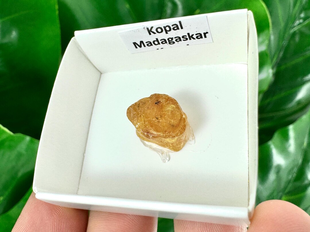 Amazing Copal From Madagascar ,madagascar Minerals,amber Copal Amber ...