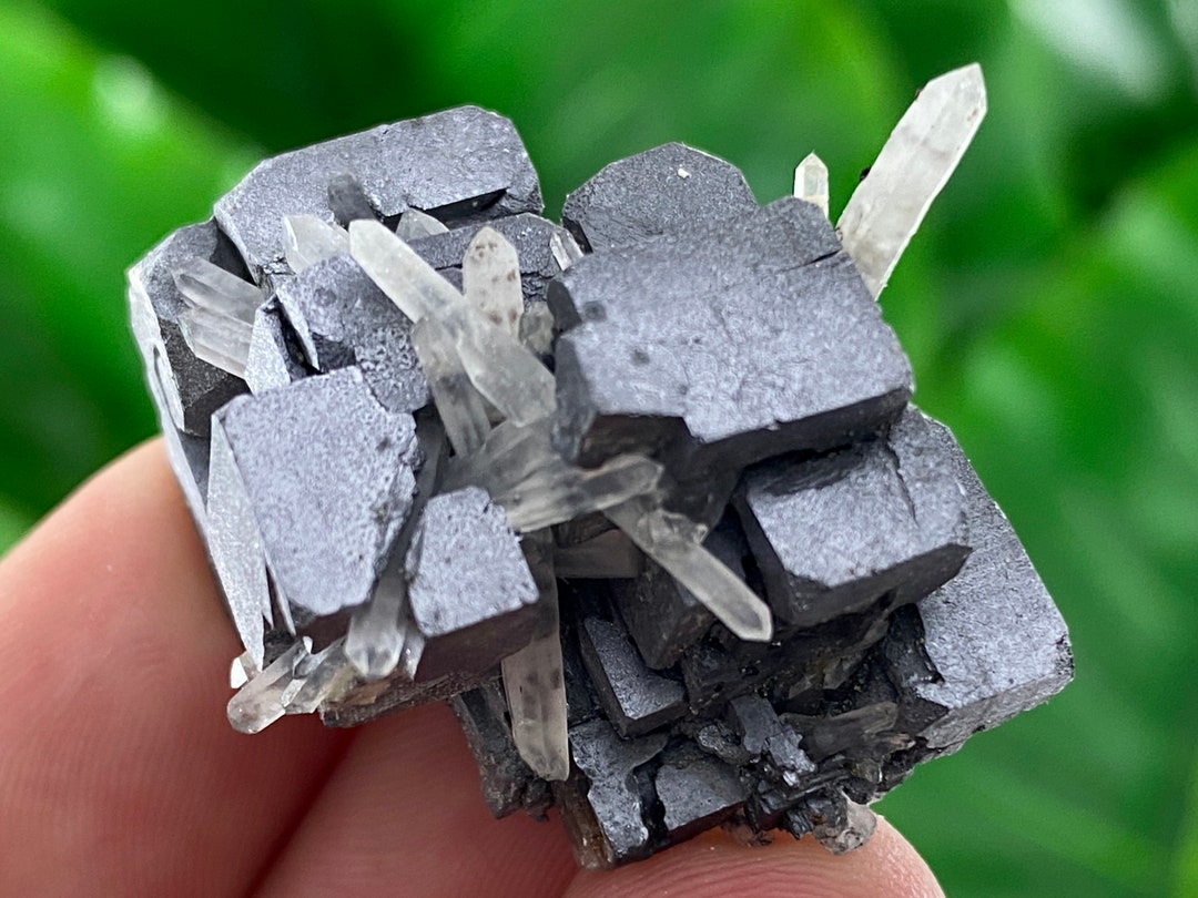 Amazing Galena,quartz From Madan,bulgaria,mineral,specimen,galena on ...