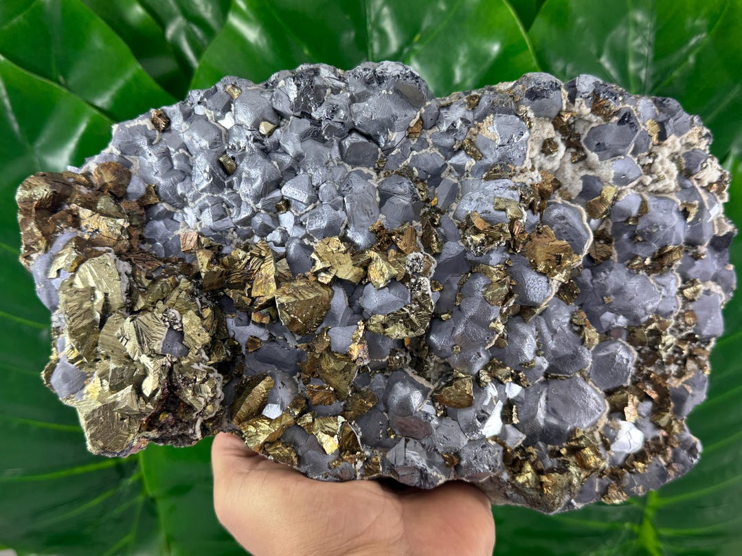 MUSEUM Extra Large Galena With Chalcopyrite,pyrite and Calcite From ...