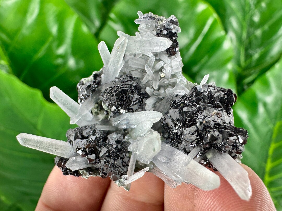 Aesthetic Quartz With Sphalerite and Galena From Borieva Mine,madan ...