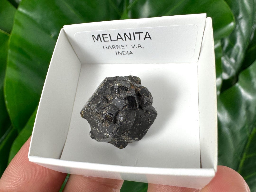 Natural Melanite Garnet From India – Andradite Variety Crystal,mineral ...