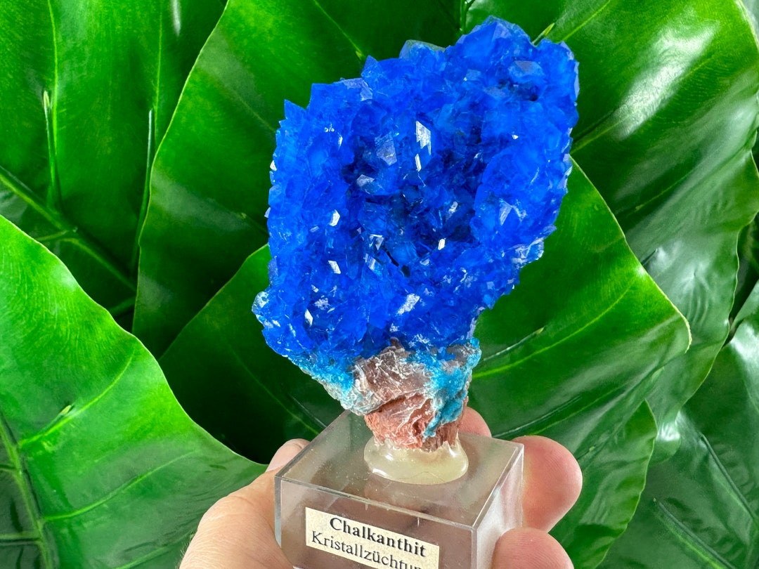 Amazing BIG Chalcanthite on Gypsum,mineral,crystal,chalcanthite on ...