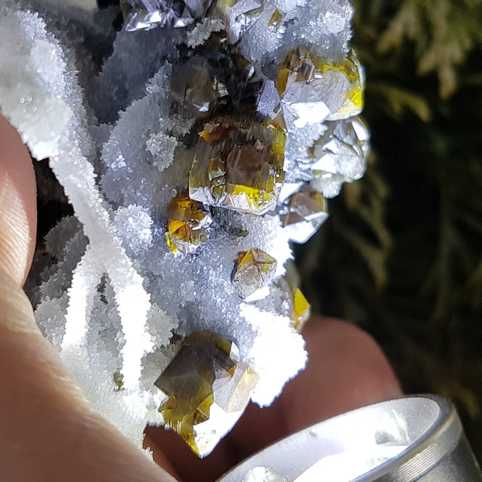 Beautiful Gem Sphalerite Var Cleiophane on Quartz From - Etsy