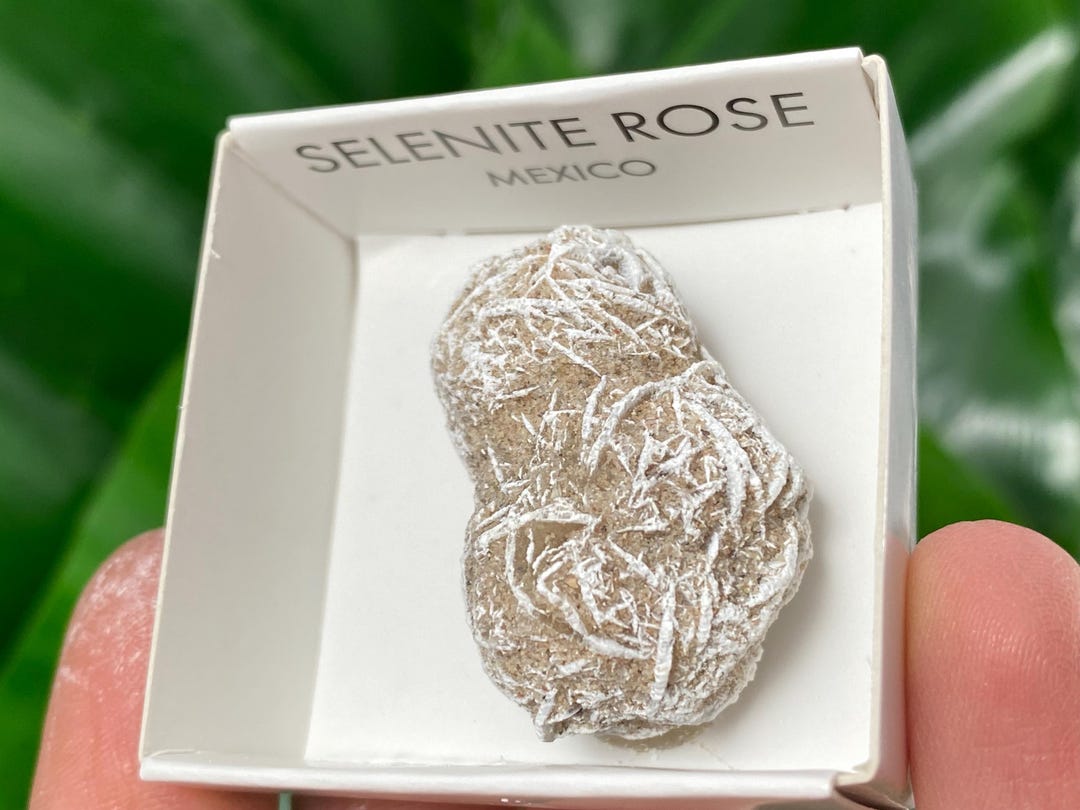 Natural Selenite Rose From Mexico – Gypsum Desert Rose Crystal,mineral ...