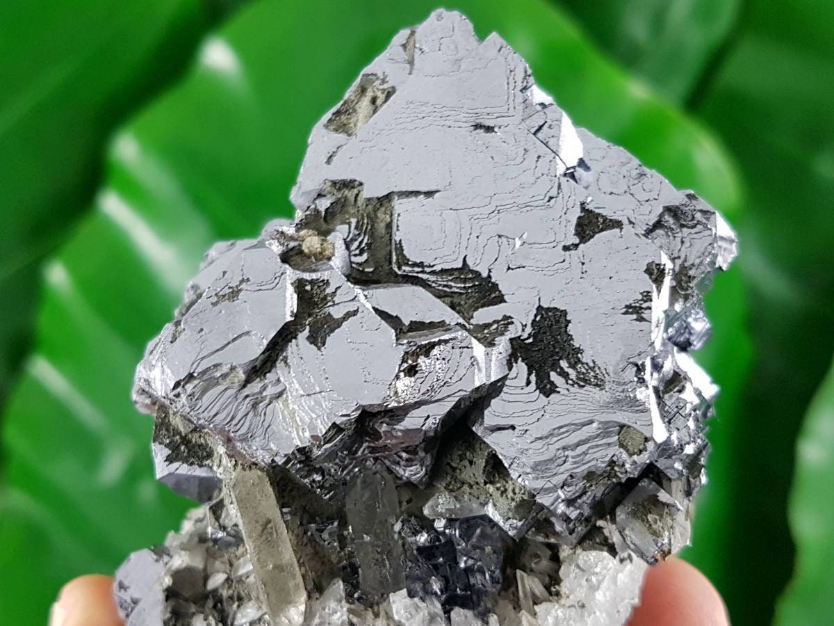 INCREDIBLE Luster Galena with Quartz and Chlorite from | Etsy