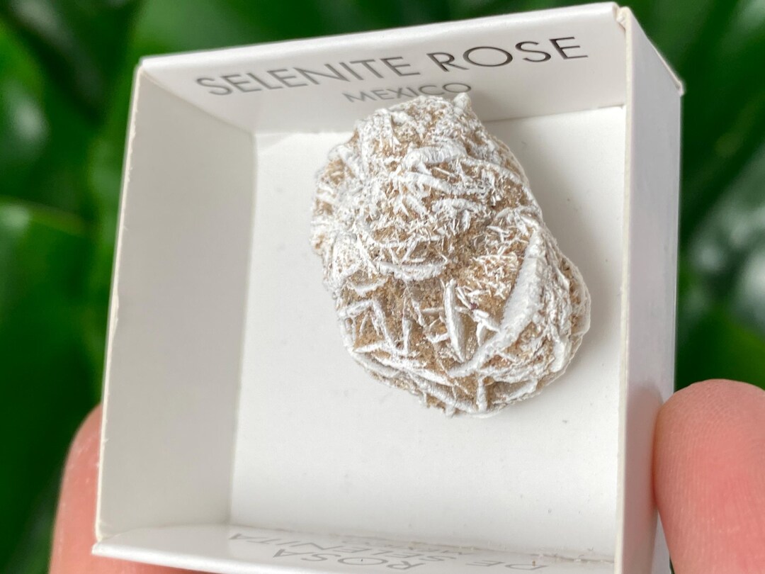 Natural Selenite Rose From Mexico – Gypsum Desert Rose Crystal,mineral ...