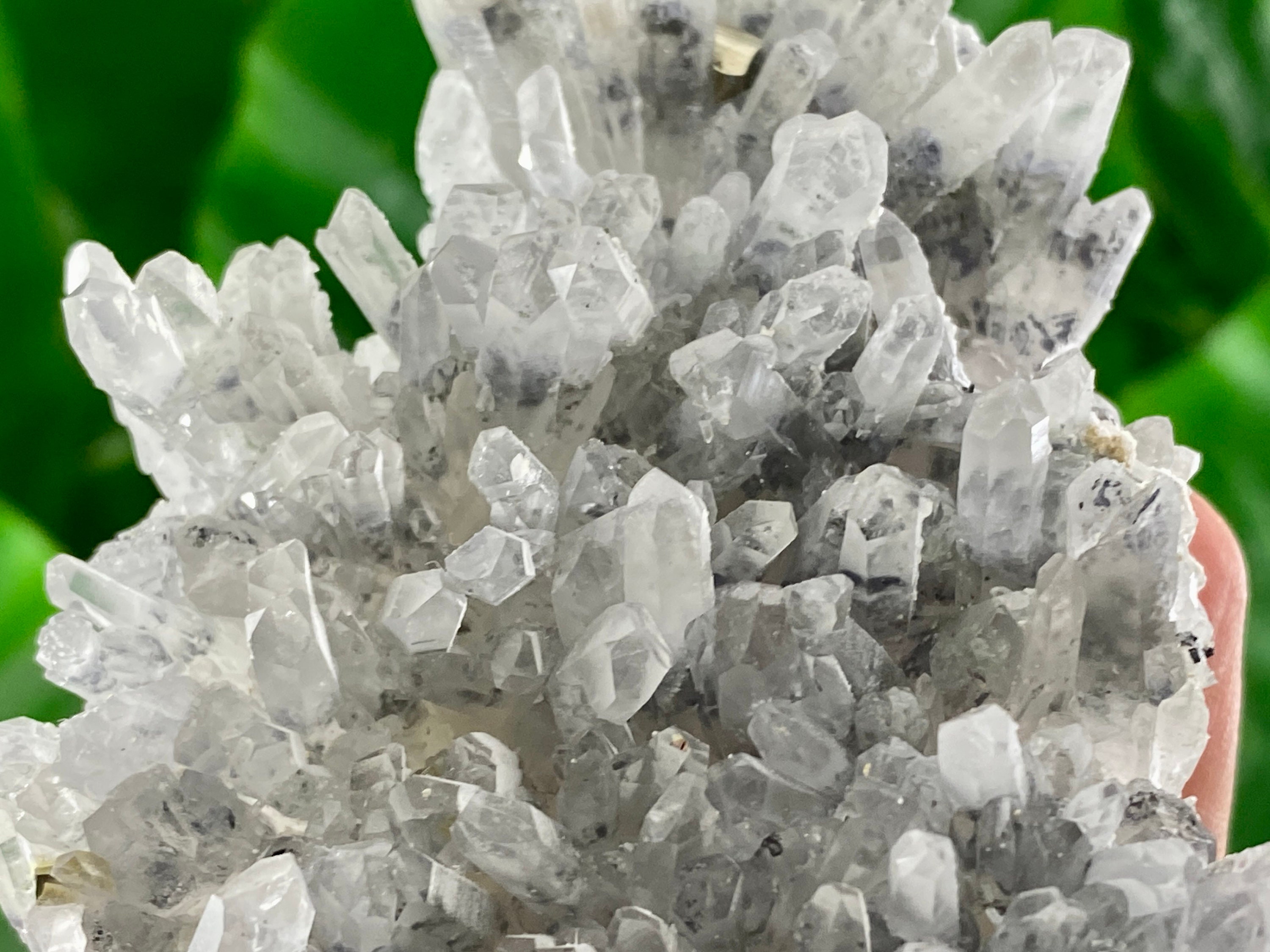 Amazing Quartz With Inclusions From Krushev Dol Mine,madan,bulgaria ...