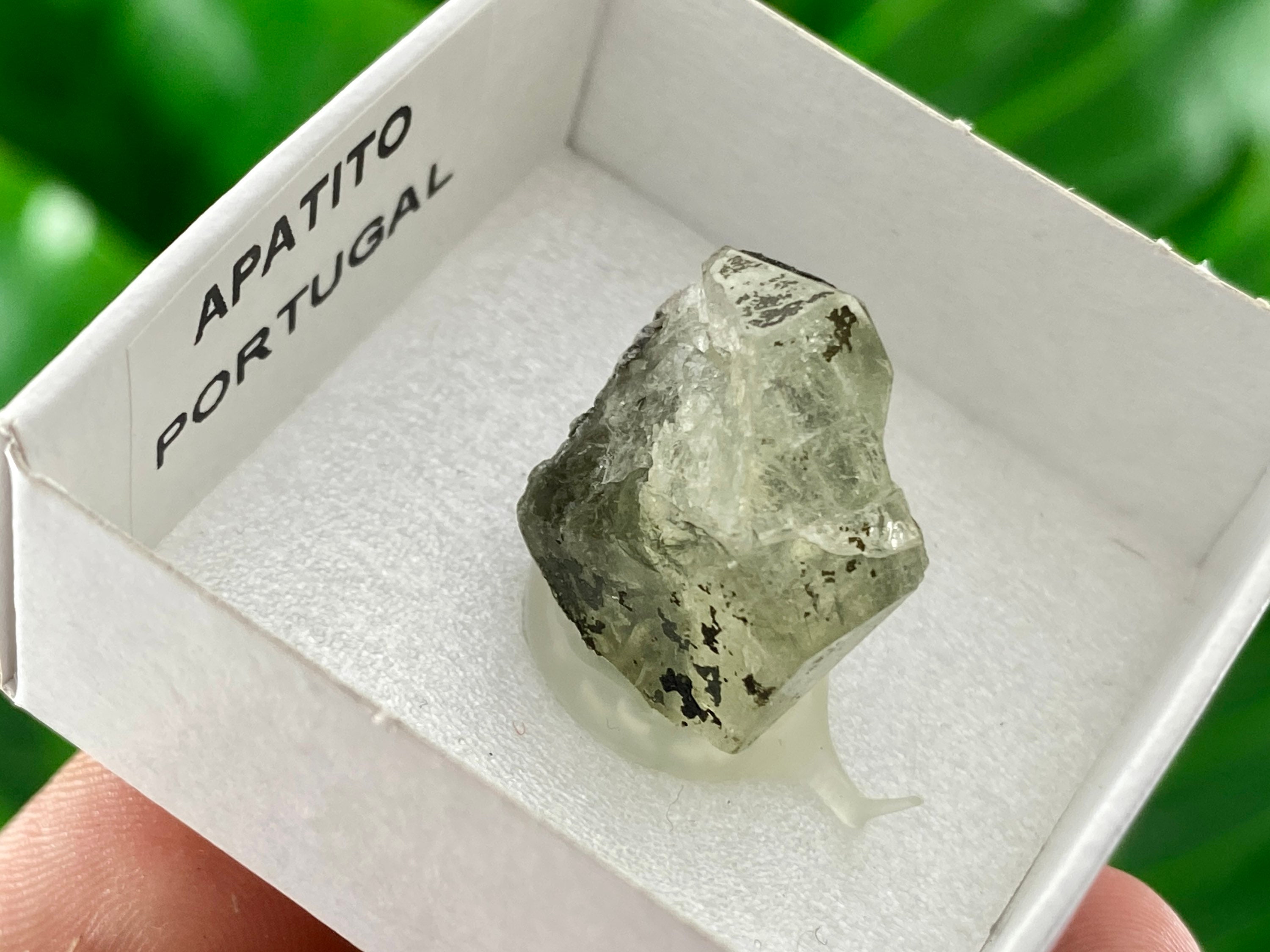 Rare Green Apatite From Portugal,mineral,specimen,collectible ...