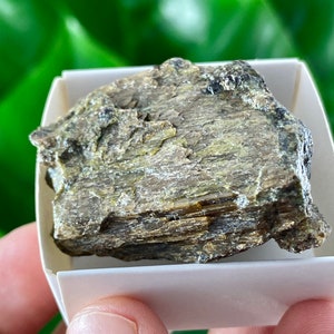 Very Nice Golden Bronzite From Austria,kraubath,styria,mineral,specimen ...