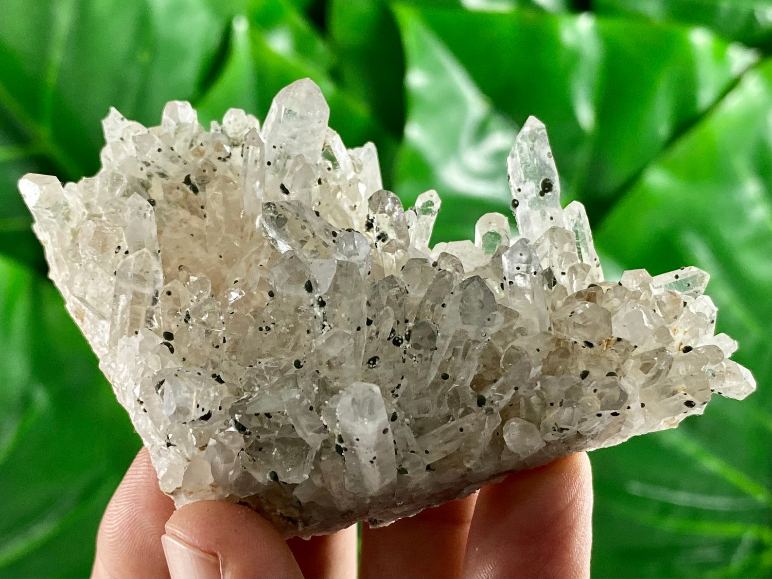 INCREDIBLE rare Transparent Quartz with small balls Chlorite | Etsy