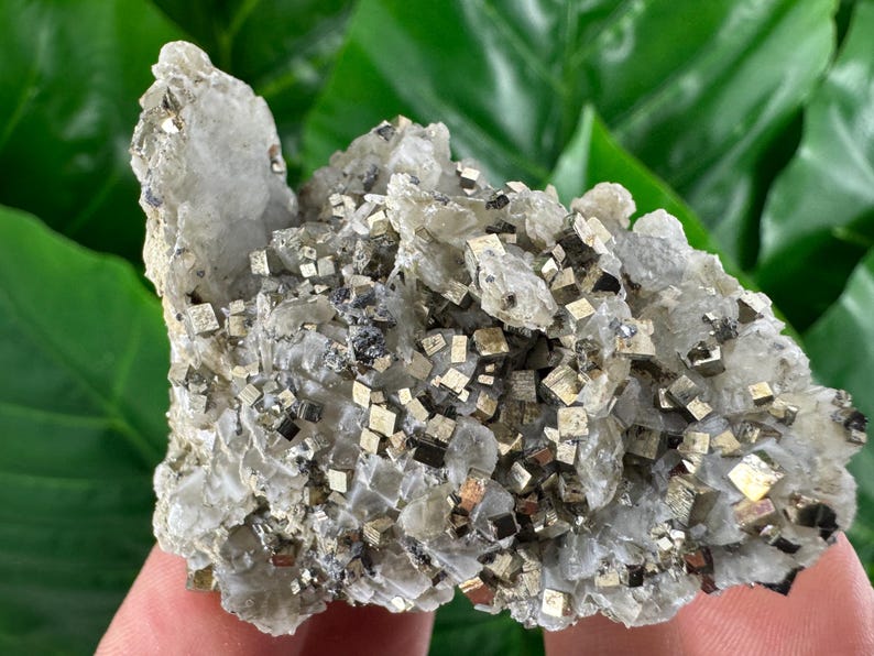Amazing Calcite With Pyrite From Djurkovo Mine,laki,bulgaria,mineral ...