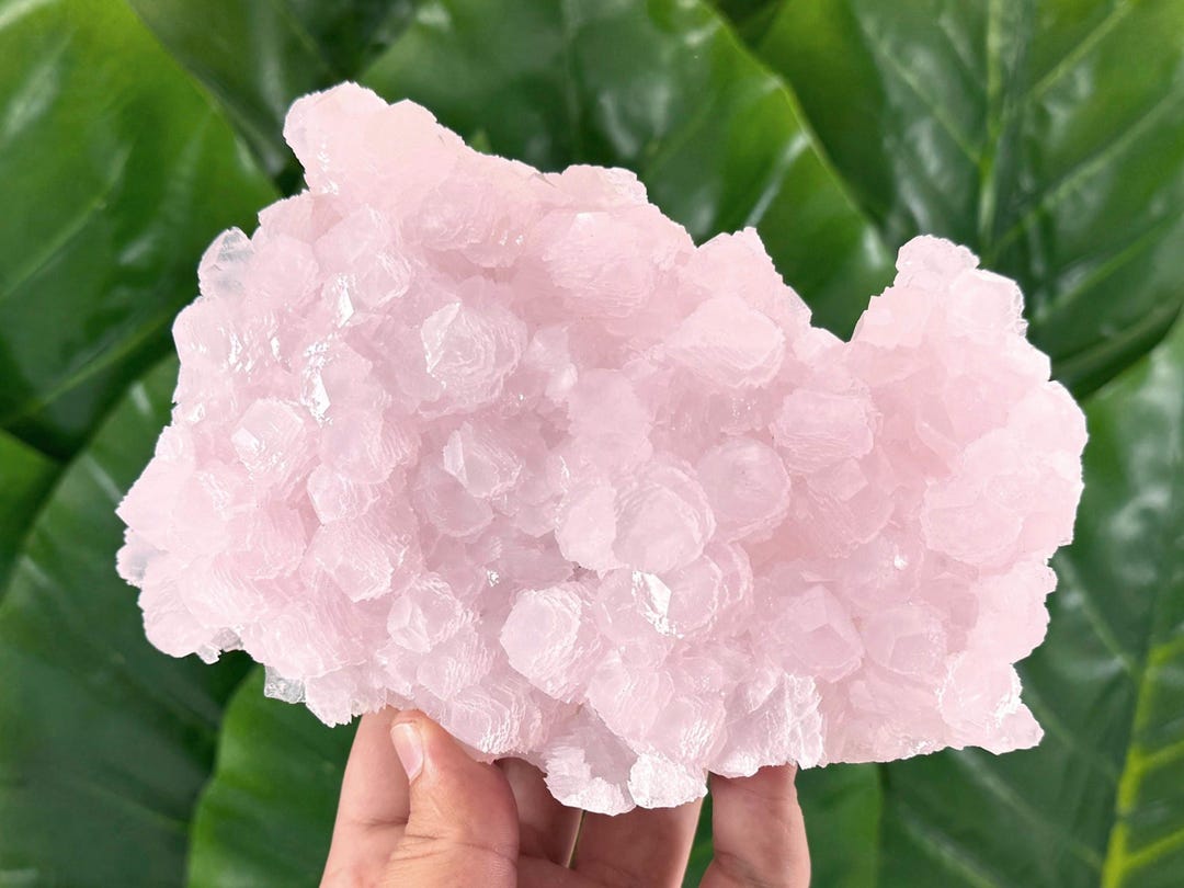 Strong Fluorescent Pink Mangano Calcite From Krushev Dol Mine,madan ...