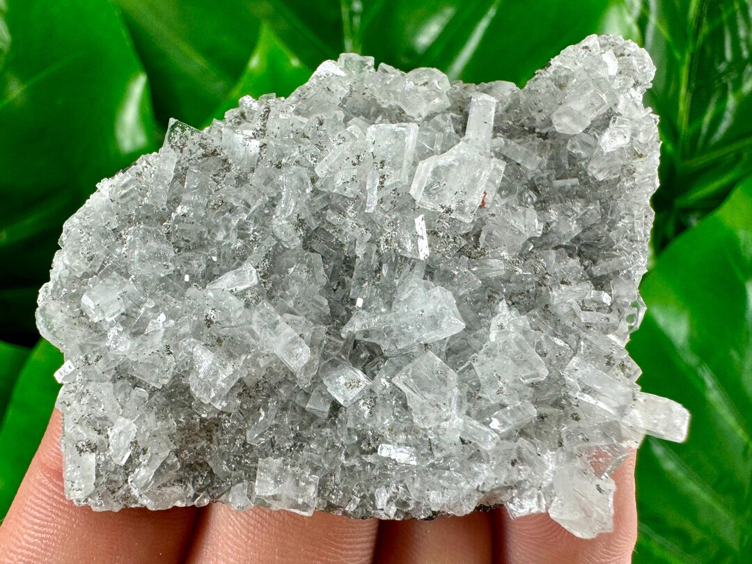 Transparent Baryte With Pyrite From Androvo Mine,zlatograd,bulgaria ...