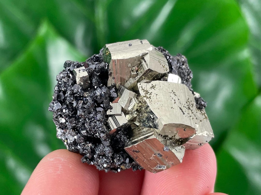 Amazing Pyrite With Sphalerite From Borieva Mine Madan,bulgaria,mineral ...