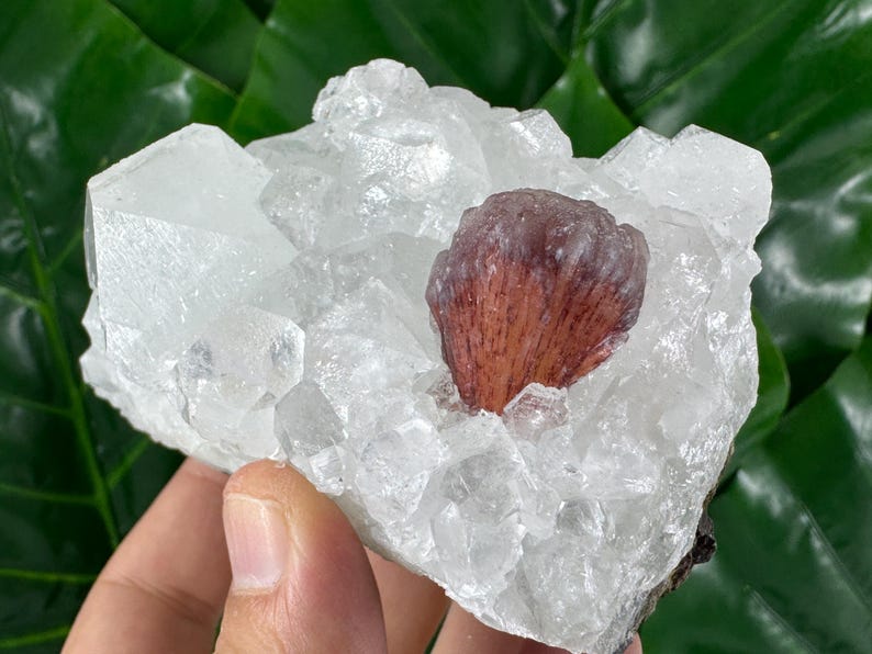 Belle apophyllite avec stilbite d'Inde,grande stilbite, stilbite ...