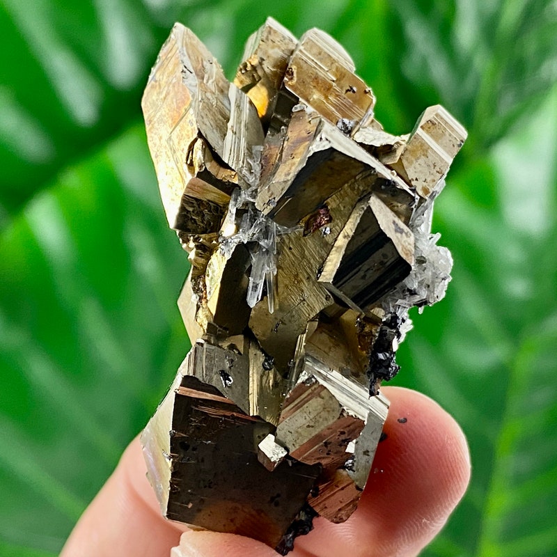 Pyrite Rare - Etsy