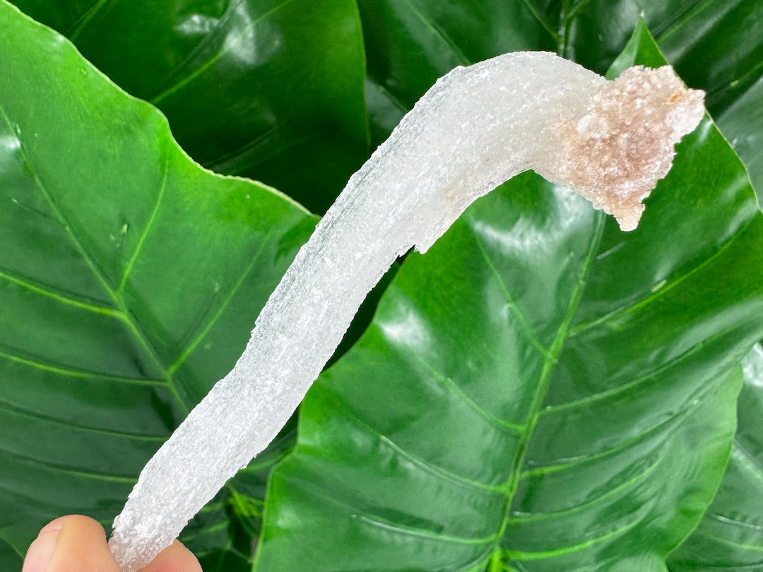 Incredible 'ram's Horn' Selenite- Gypsum From Guizhou,china,rare Gypsum ...