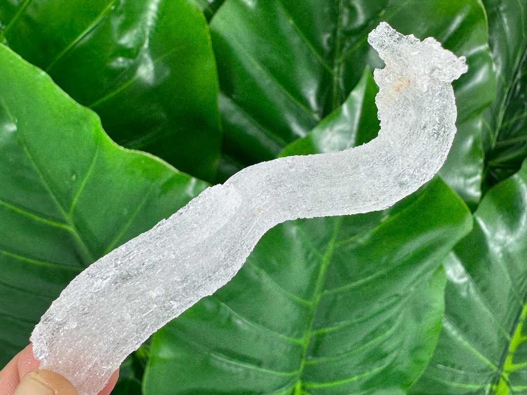 Incredible 'ram's Horn' Selenite- Gypsum From Guizhou,china,rare Gypsum ...