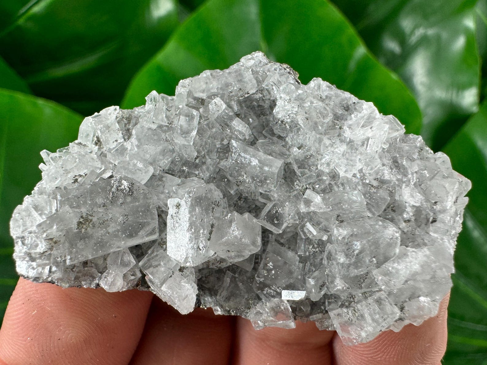 Transparent Baryte With Pyrite From Androvo Mine,zlatograd,bulgaria ...