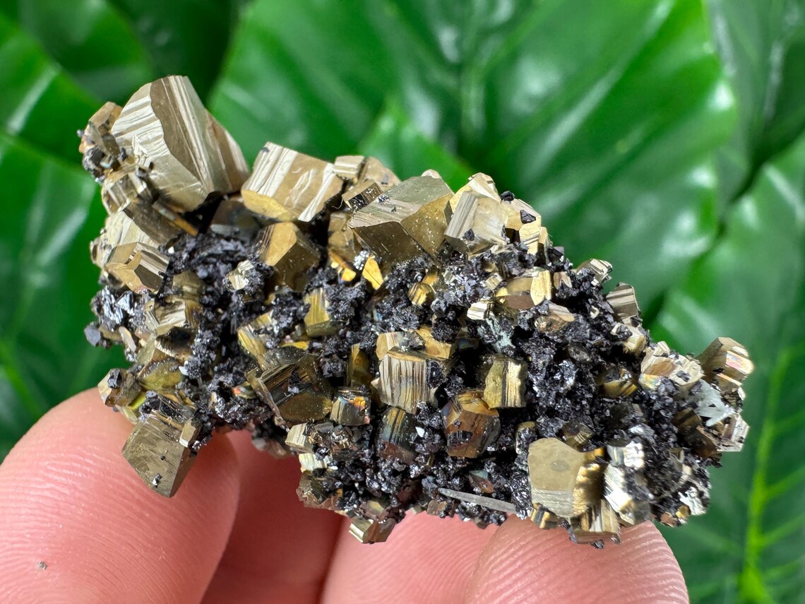 Amazing Pyrite With Sphalerite From Borieva Mine Madan,bulgaria,mineral ...