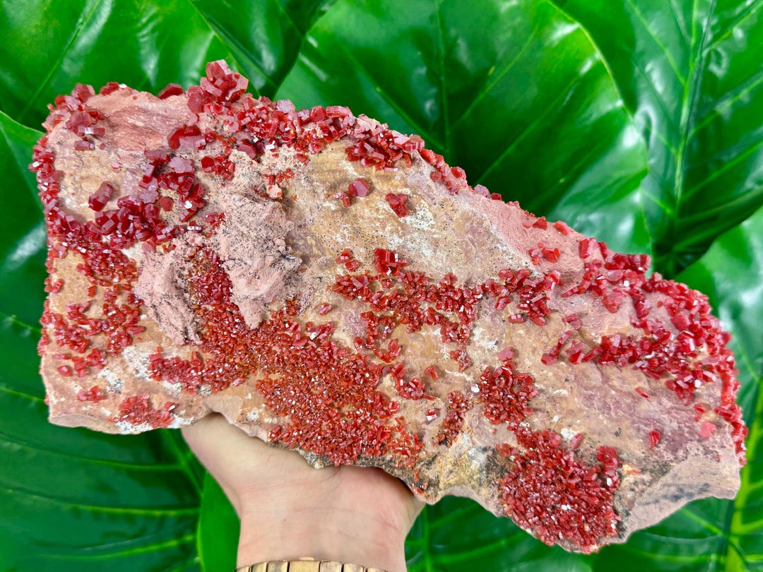 Extra Large Red Crystals Vanadinite on Matrix From Morocco,crystal ...