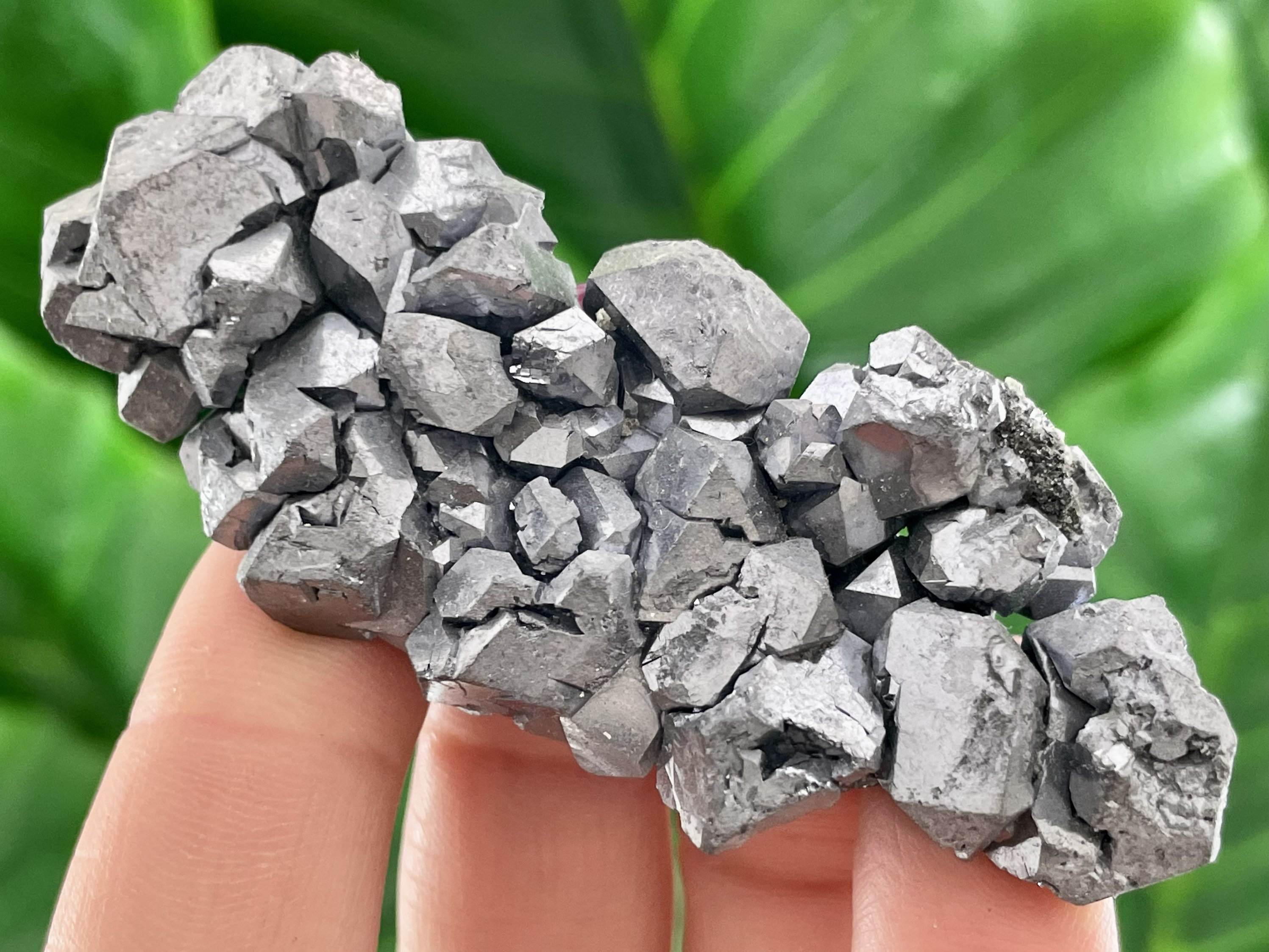 Rare Galena From Krushev Dol Mine,madan,bulgaria, Mineral,specimen ...