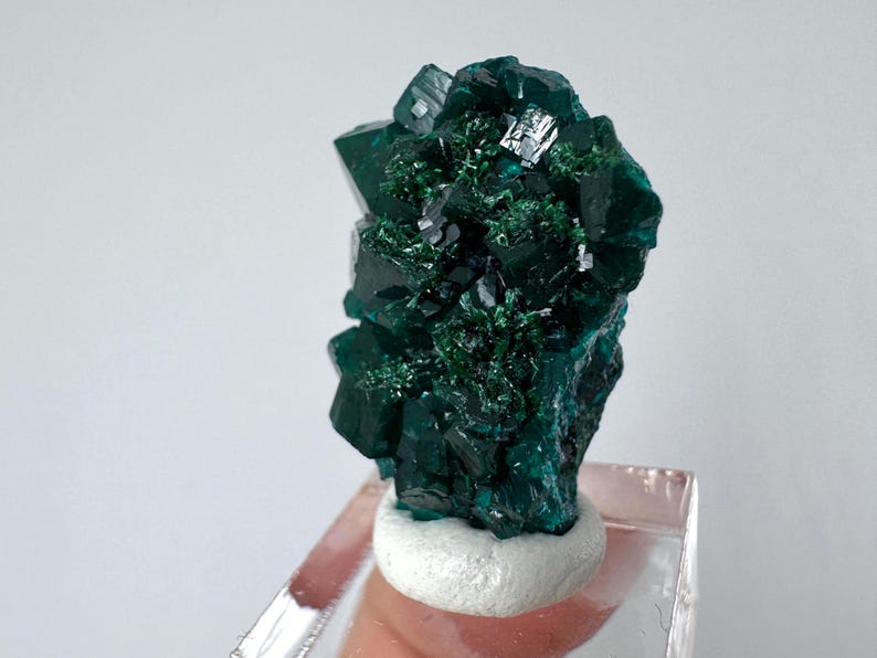 Mini Dioptase With Malachite From Sanda Hills,mindouli,pool Department ...
